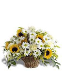 Just Flowers - item: Basket - Yellow and White