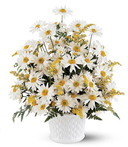 Flower.com - item: Sunny Daisy Bouquet