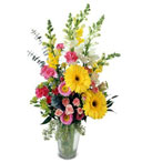 Just Flowers - item: Spring Cheer Bouquet