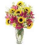 Just Flowers - item: Springtime Pleasures