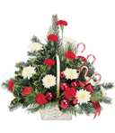 Just Flowers - item: Candy Cane Garden