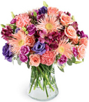 Flower.com - item: Festival of Hues