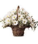 Flower.com - item: Biar Basket