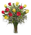Just Flowers - item: One-Dozen Red & Yellow Thinking of You Roses