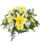 Just Flowers - item: Dainty Yellow Beauty