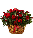 Just Flowers - item: Roses for You